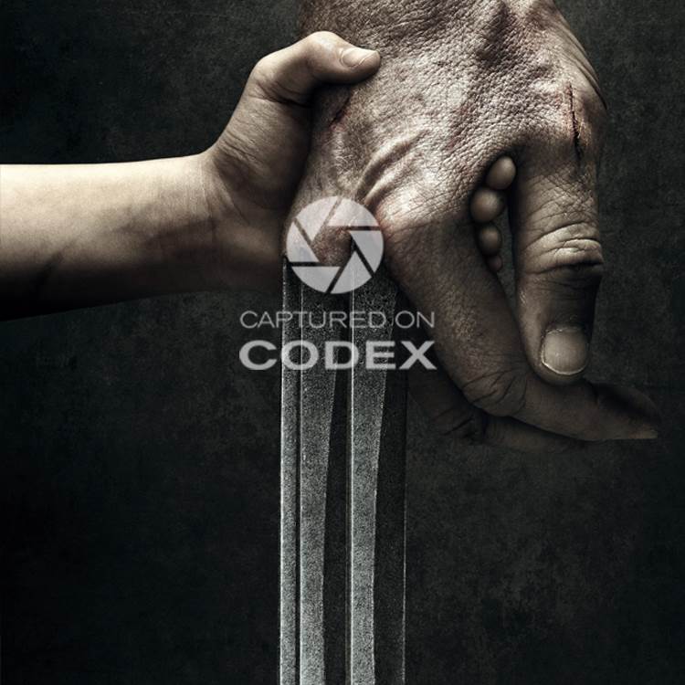 Codex